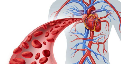 HEMODINÁMICA, VISCOSIDAD SANGUÍNEA Y PERFILES DE FLUJO
