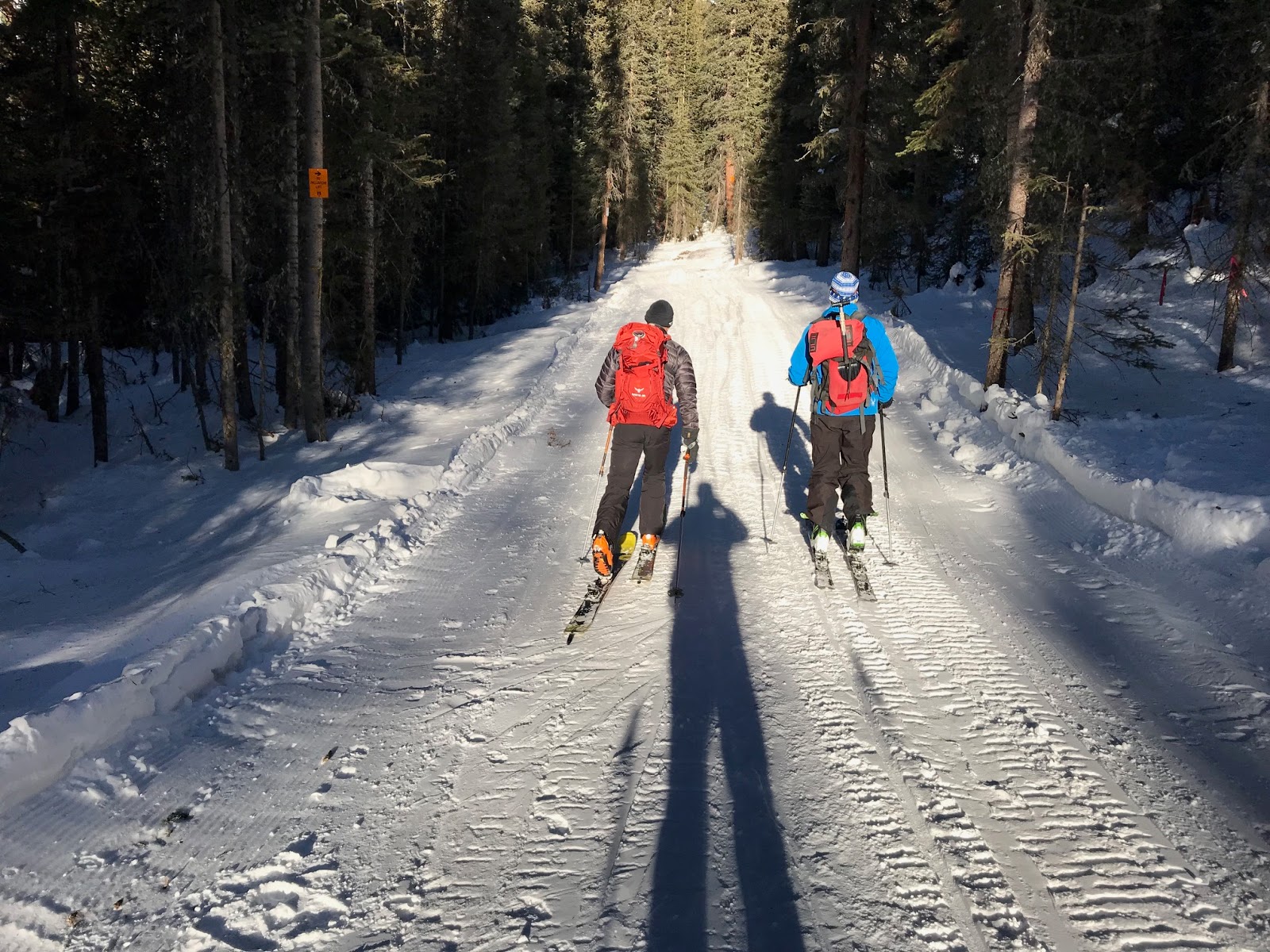 Al's Blog: Steep Gullies Hike Back Trail