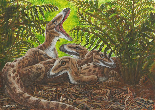 Extinct Animal of the Week: Feather Your Dinosaur