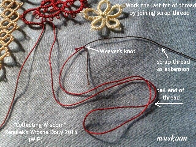 muskaan's T*I*P*S: Collecting Wisdom