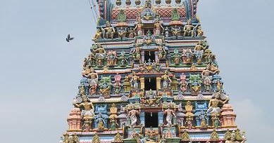 Tamilnadu Tourism: Pachai Varana Perumal Temple, Agaramel, Thiruvallur