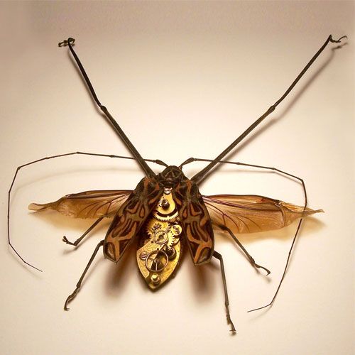 mechanical insect art by Mike Libby ~ ideas arts and crafts projects