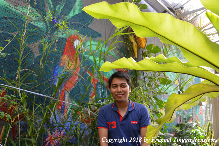 Frenz Fries: Hustle Café and Racket Room, Cubao