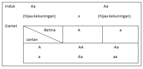 Gen Letal Resesif, Dominan, Letal Manusia Dalam Hereditas Penerapan Dan ...