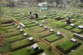 Rumput kuburan , Rumput makam Januari Tahun 2024 ~ JUAL RUMPUT TAMAN ...