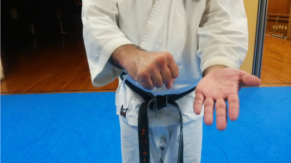 Traditional Gojuryu Karatedo: Kamae 1 - Yoi
