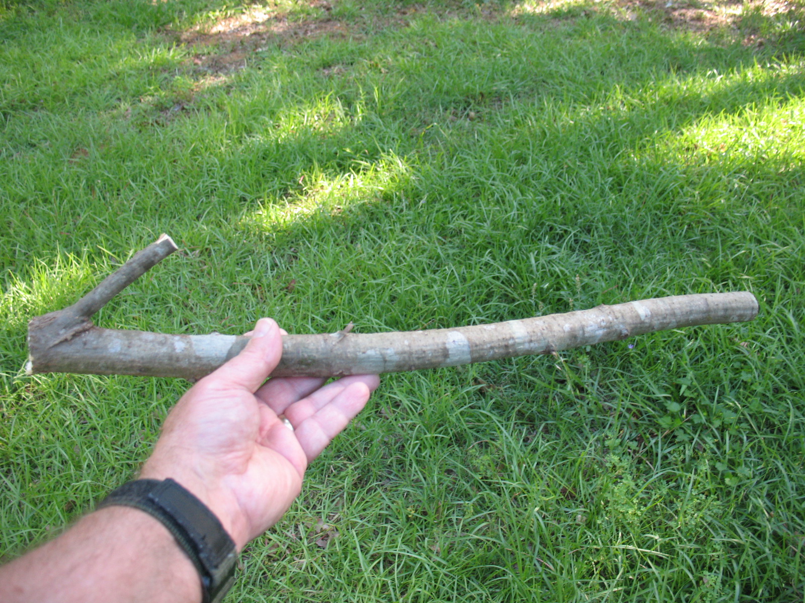 Sensible Survival: Make an Atlatl and Dart - Part 1