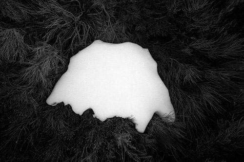 Malomil: Lusitânia, de Estrabão.