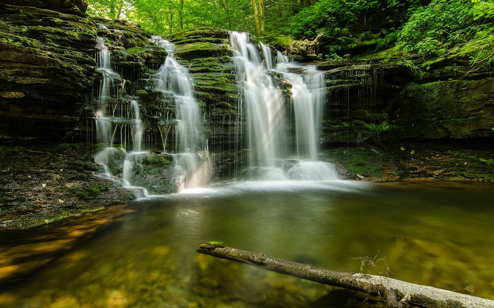 idool Cascada en el bosque - Forest waterfalls - Naturaleza | wallpaper ...