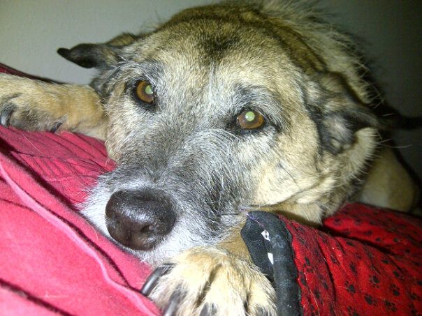 About Me OPTION EXPLICIT VBA about-me-option-explicit-vba