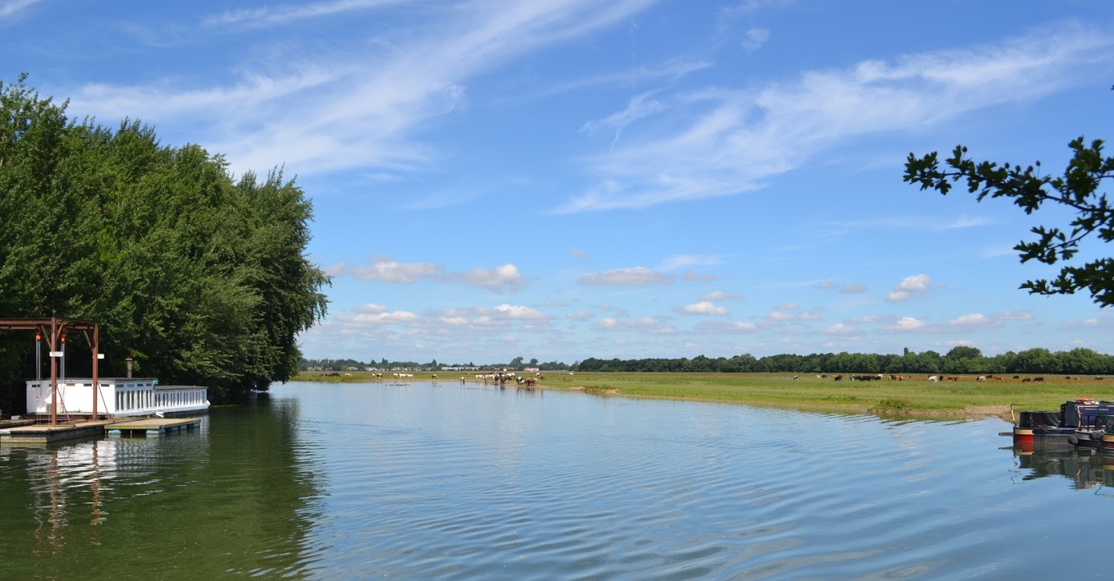 Walks among Flowers: Berkshire/Oxfordshire: Godstow and Port Meadow
