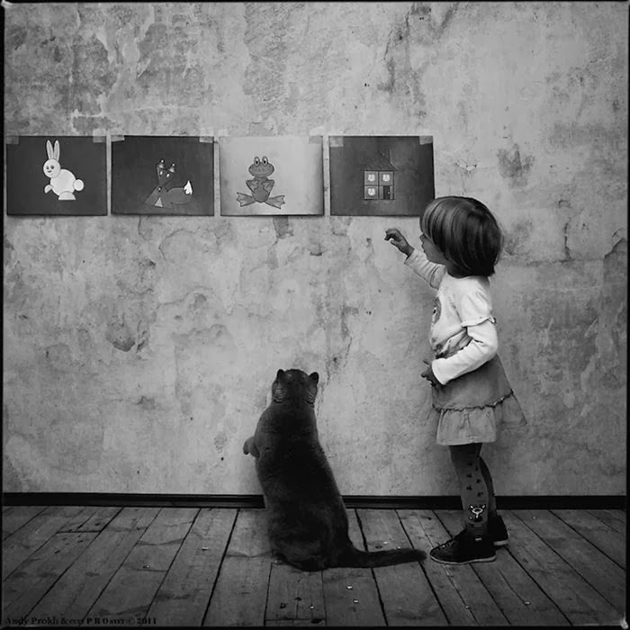 El arte: La Fotografía Artística