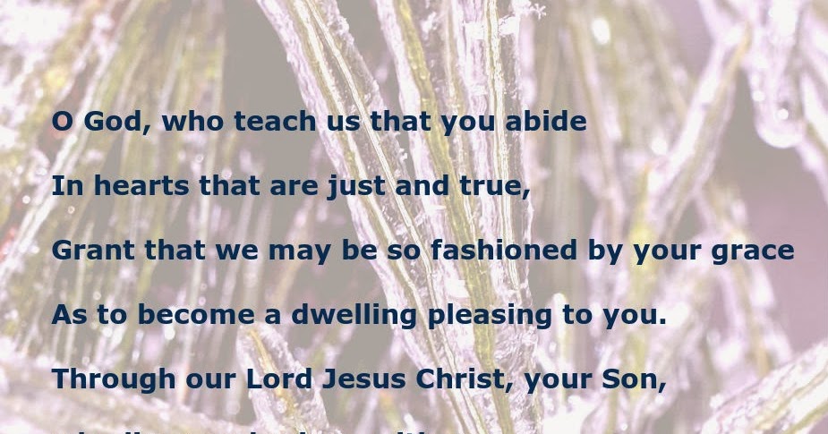 Daily Homilies: Sixth Sunday in Ordinary Time