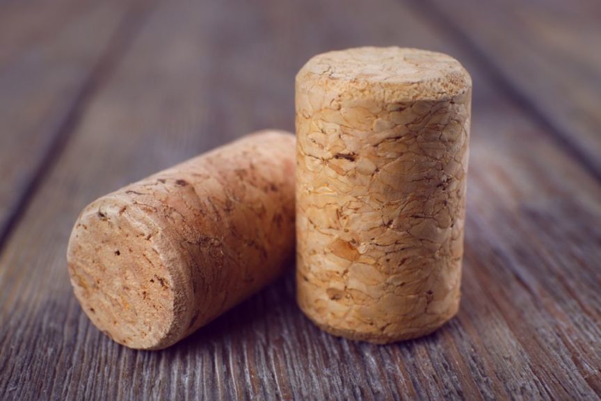 5. OBSERVACIÓN AL MICROSCOPIO DEL CORCHO