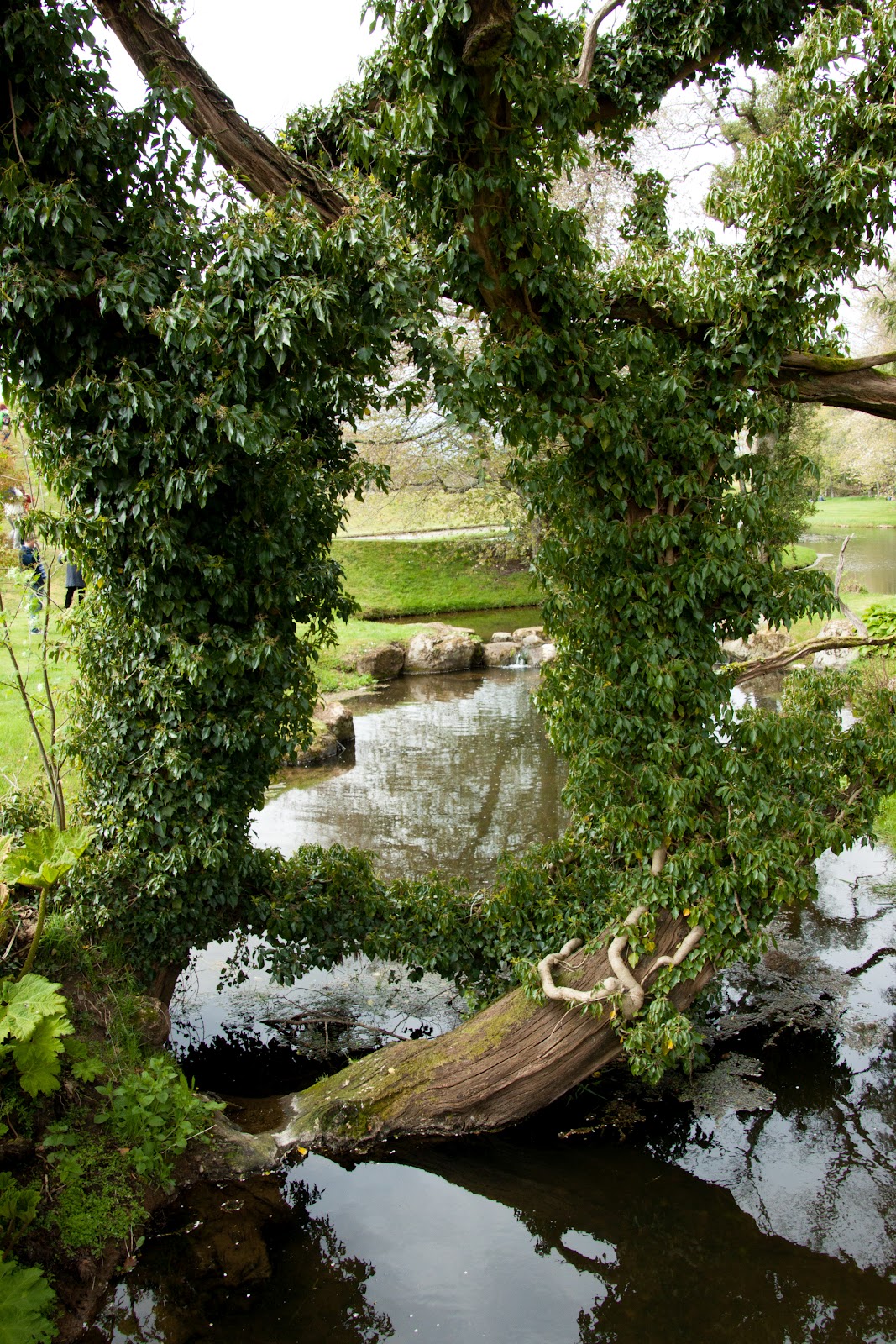 Peach and Thistle: The Garden of Cosmic Speculation, at Portrack House ...