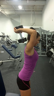 The Gym Rat Diaries: Exercise Routines