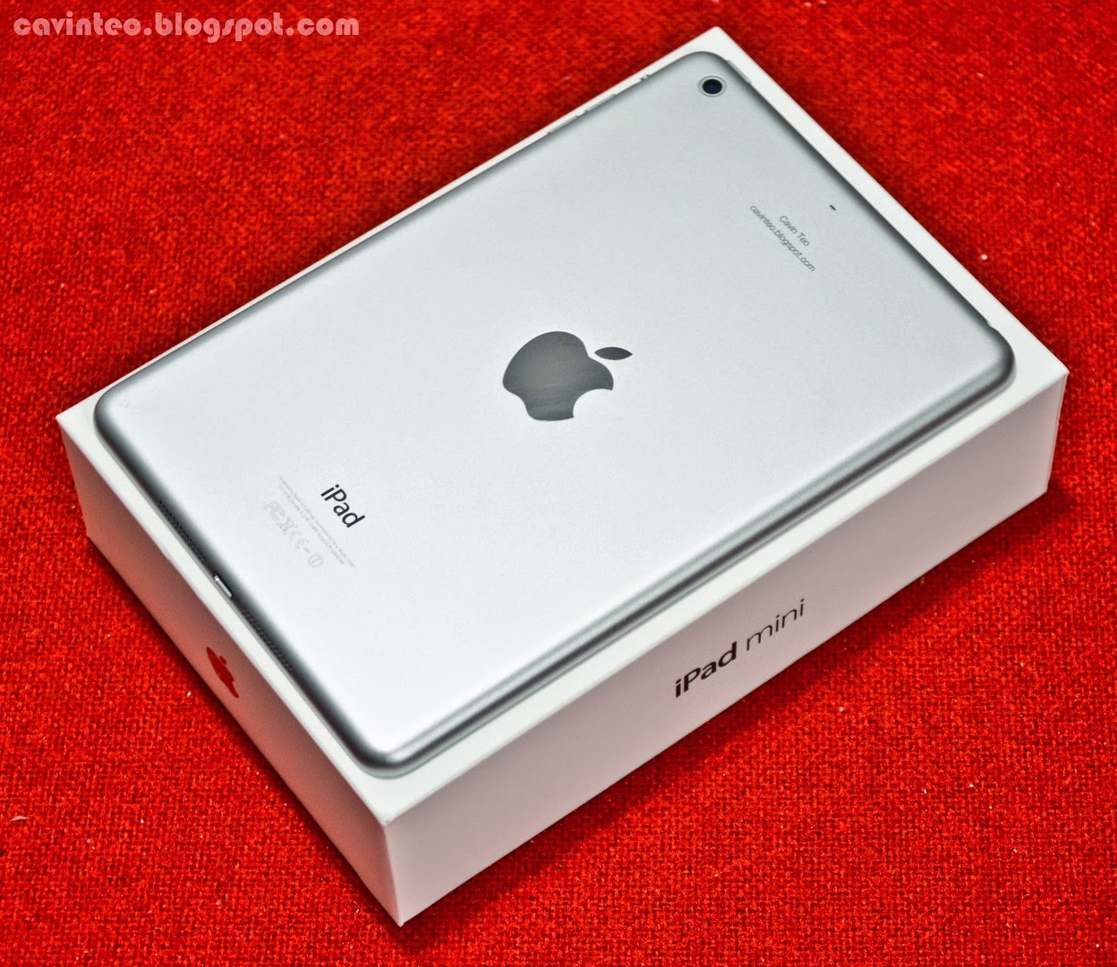 Entree Kibbles: A New Toy in the House - iPad Mini!