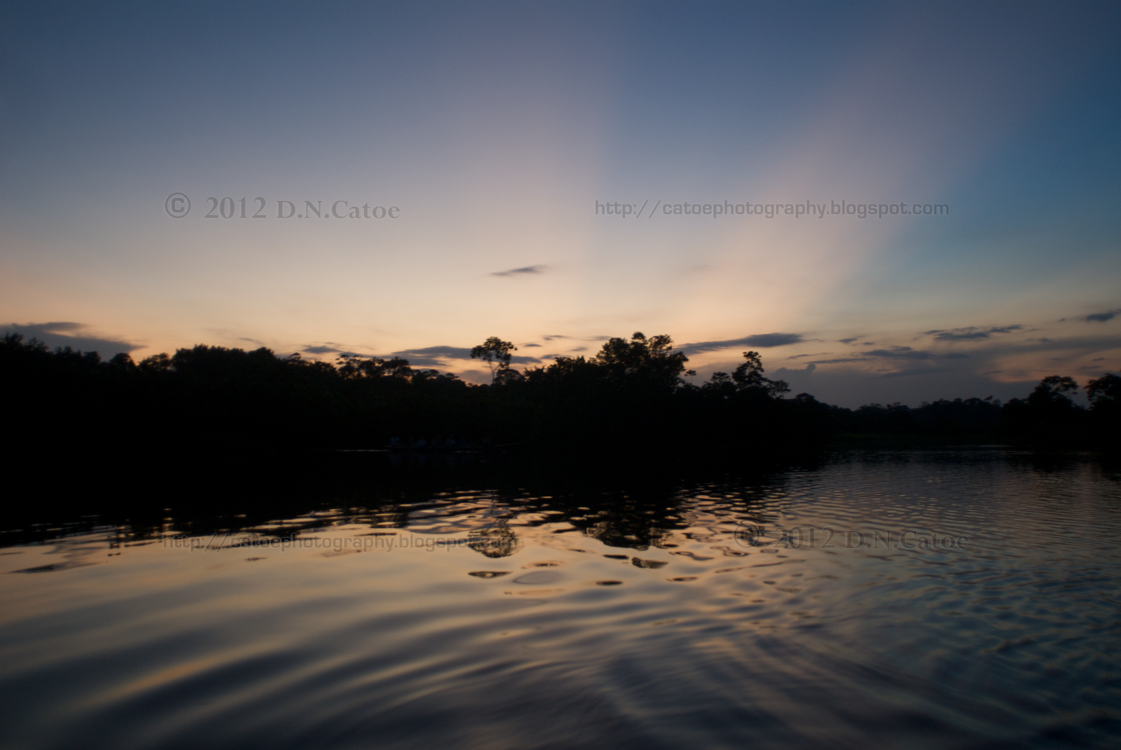 David Catoe Photography