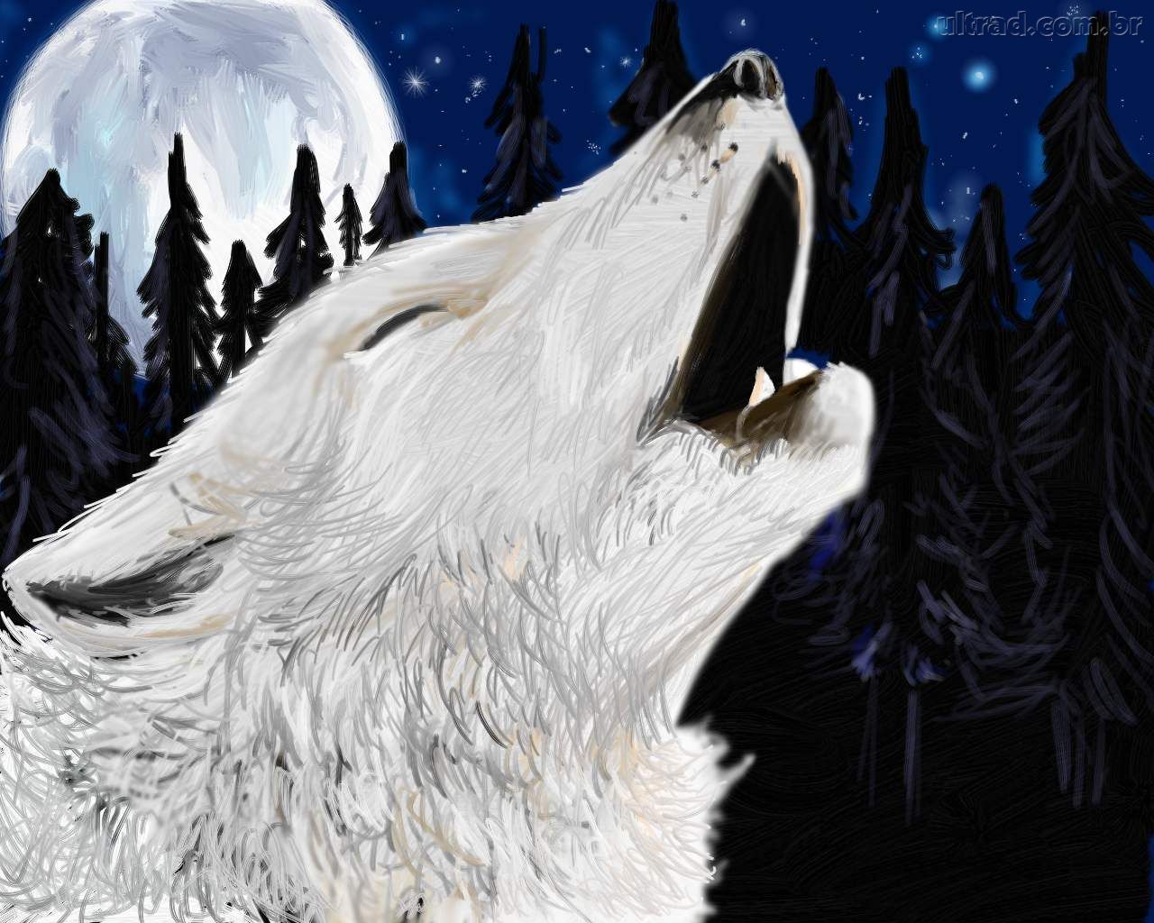 Wallpaper - Lobo | D-Efeitos Design