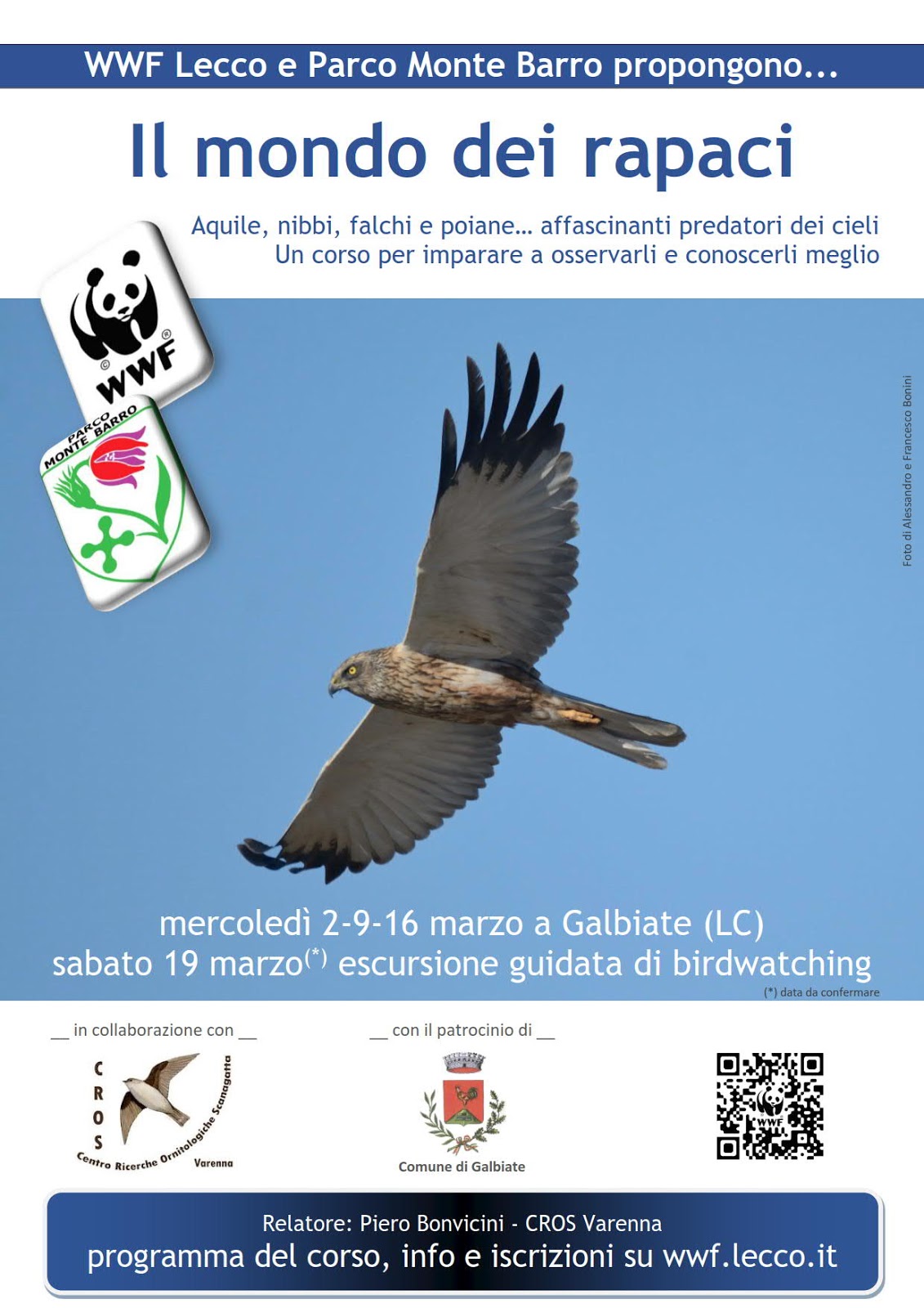 Brianza Centrale: Alla scoperta dei rapaci con WWF Lecco e Parco Monte ...