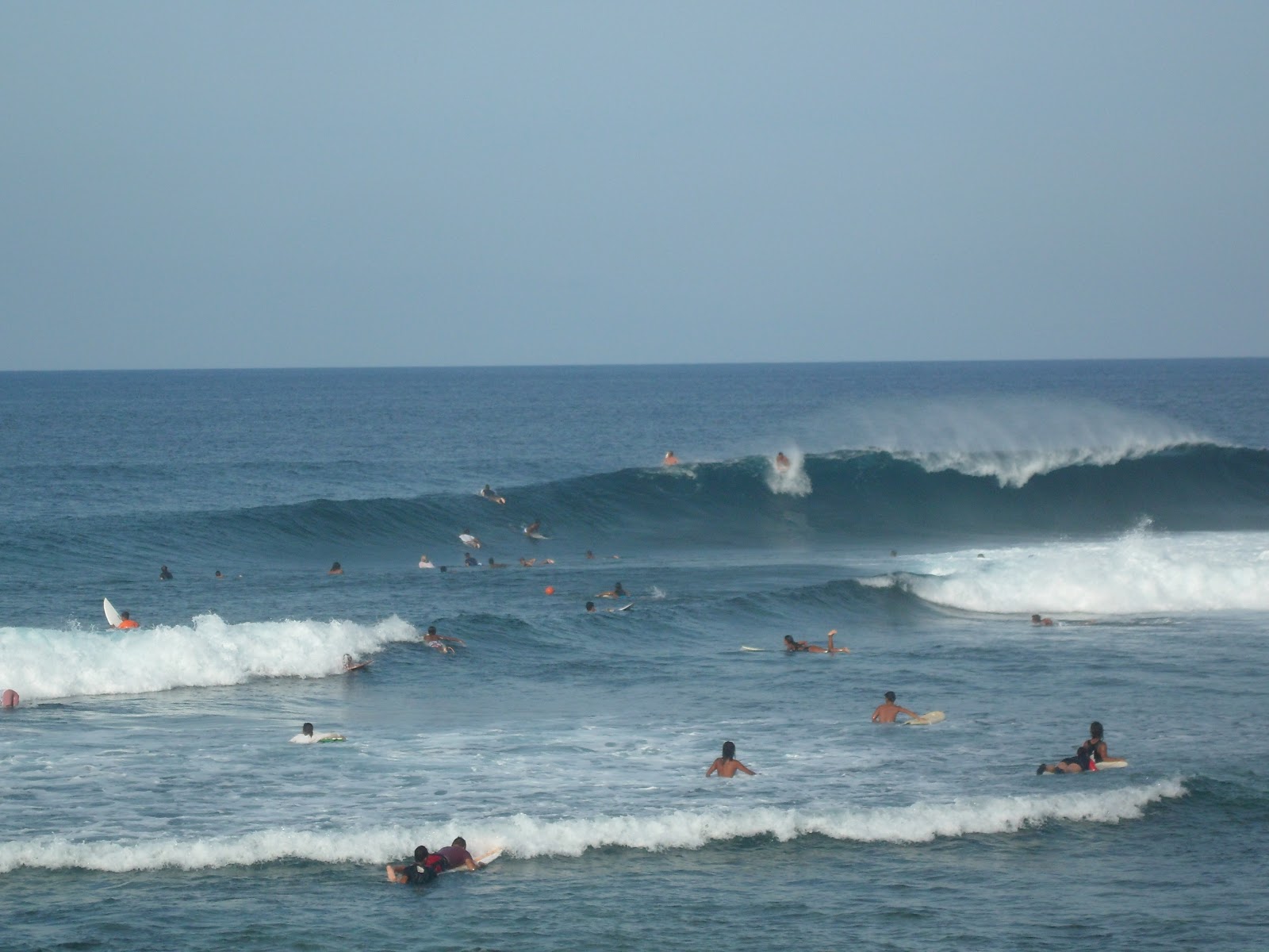 Ocean 101 Cloud 9 Beach Resort: cloud 9 philippines surf report