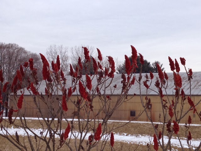 Ramblin' with AM: Back on the Rollercoaster