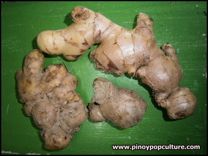 Pinoy Pop Culture: Luya (Ginger)