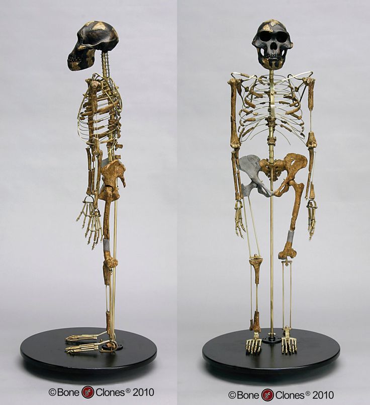 Panta rei: HISTORICAL FACIAL RECONSTRUCTION