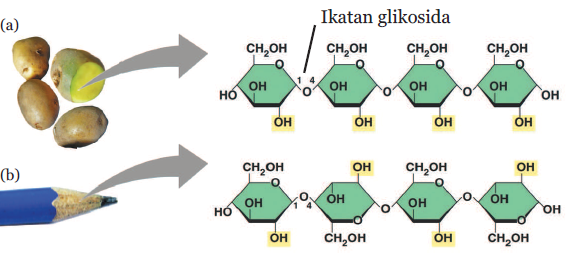 Partikel Penyusun Benda Mati dan Mkhluk Hidup - Science For Life