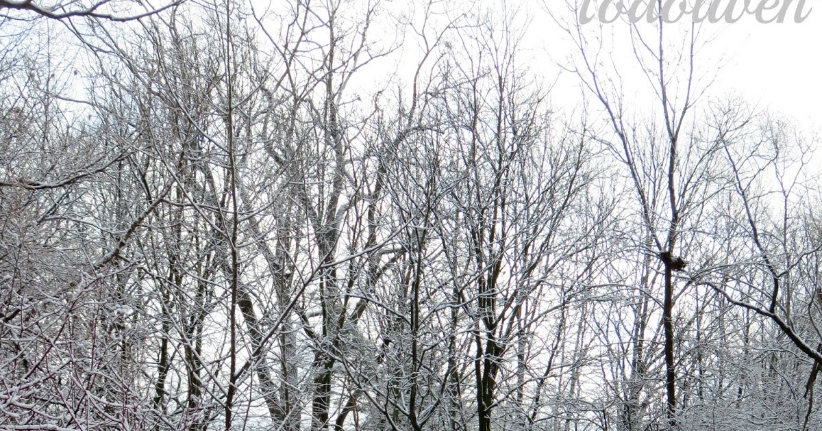 Todolwen: A Morning Walk ~ The Final Part