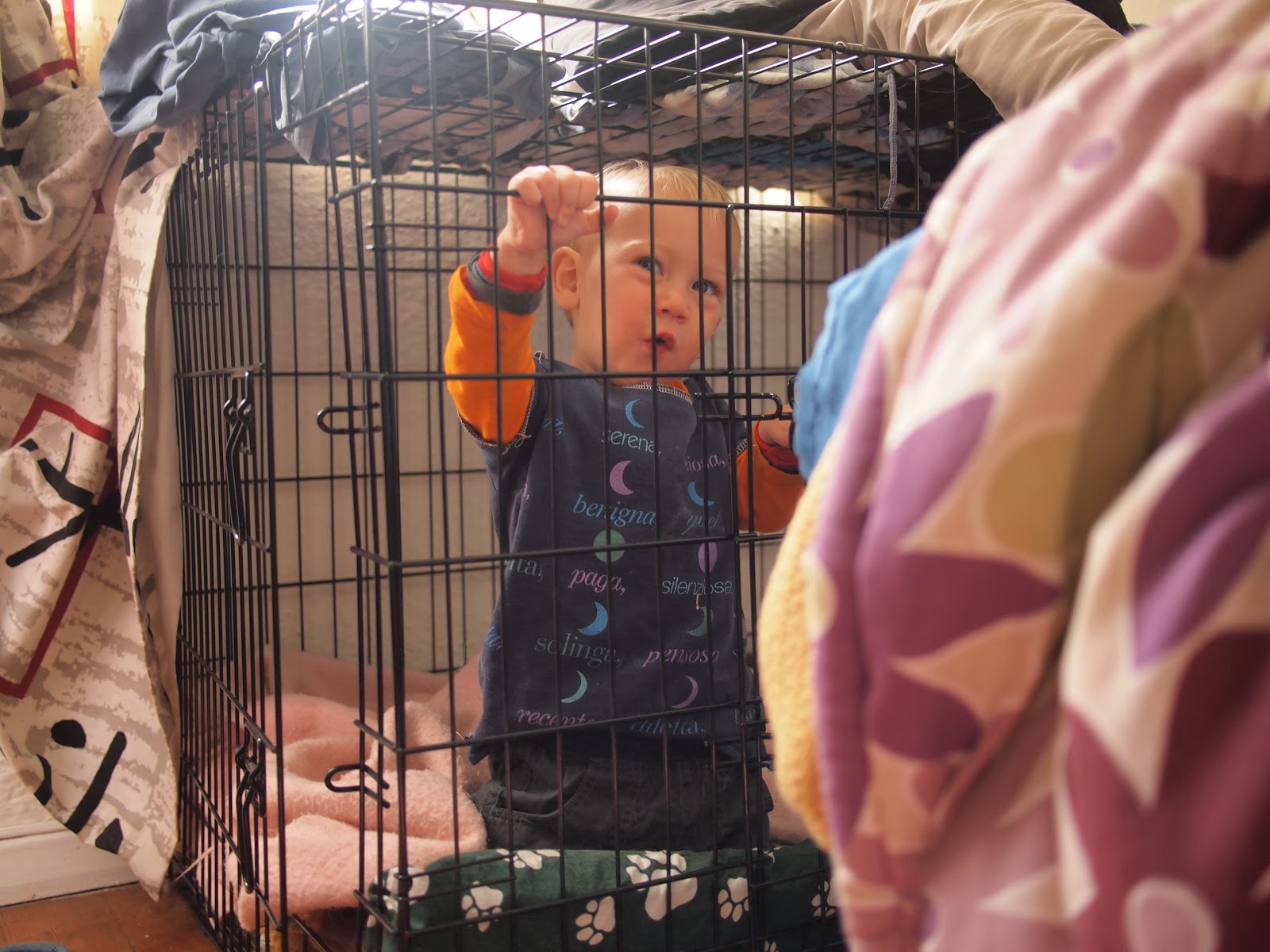 The Concrete Gardener: December 2011