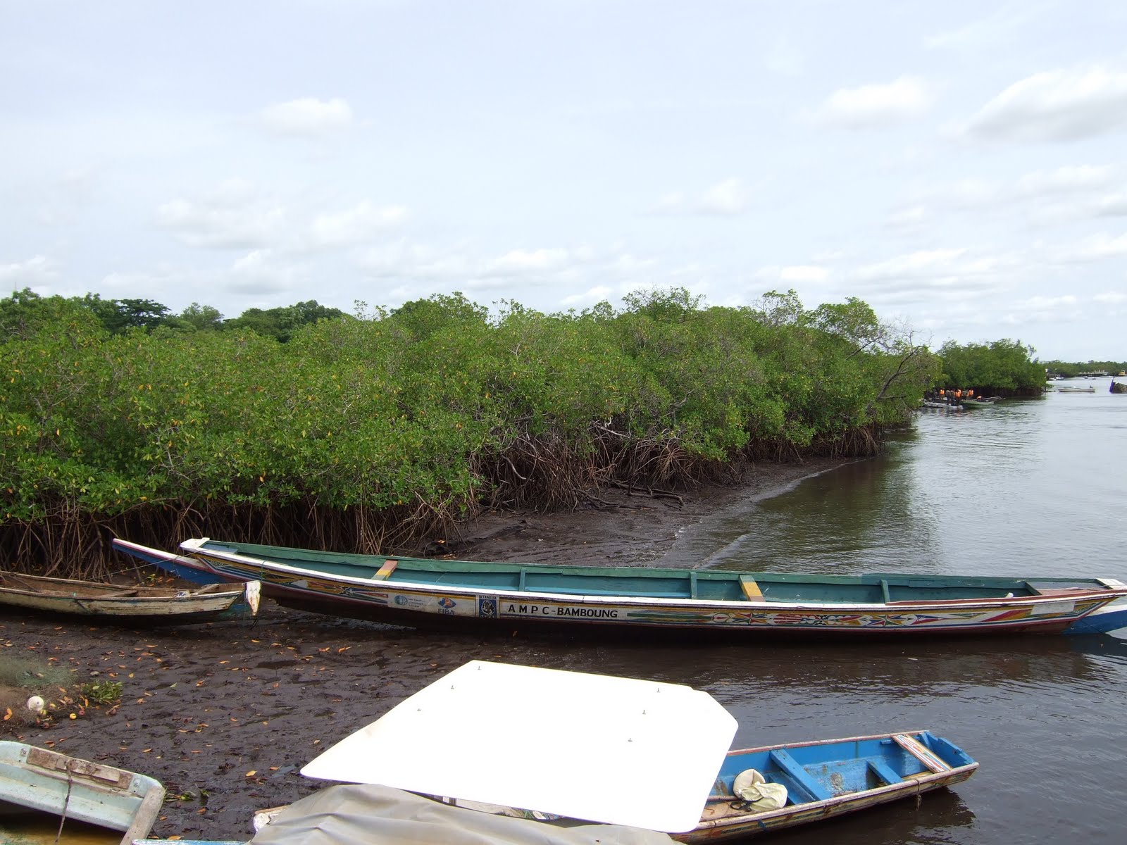 Travel to Sénégal: Toubacouta - 1