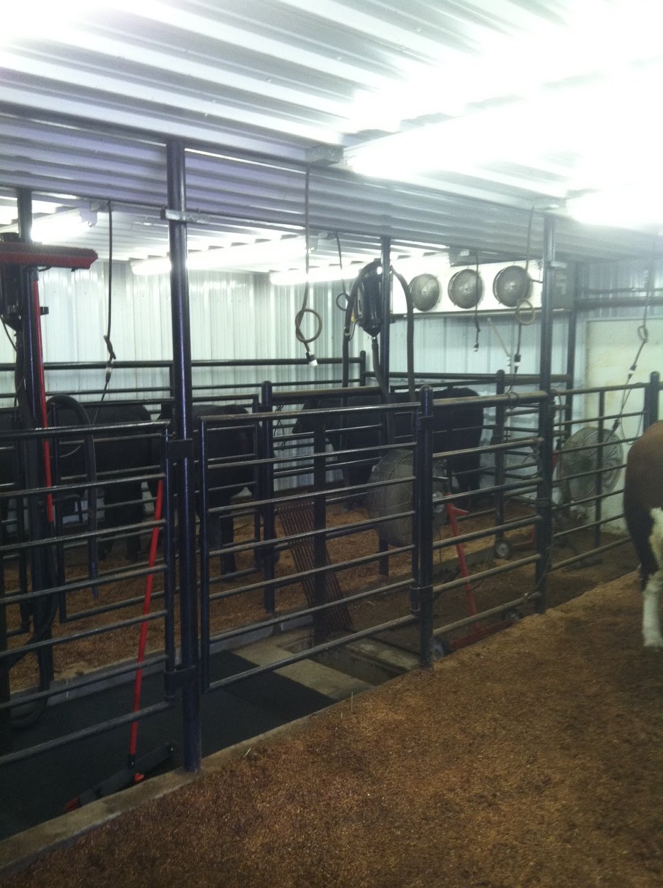 DIAMOND G CATTLE CO.: Awesome Cooler!