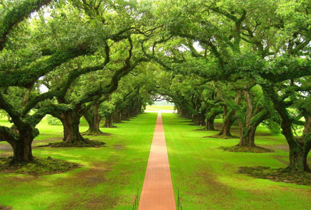 UKADAPTA BLOG: Getting Back To Nature