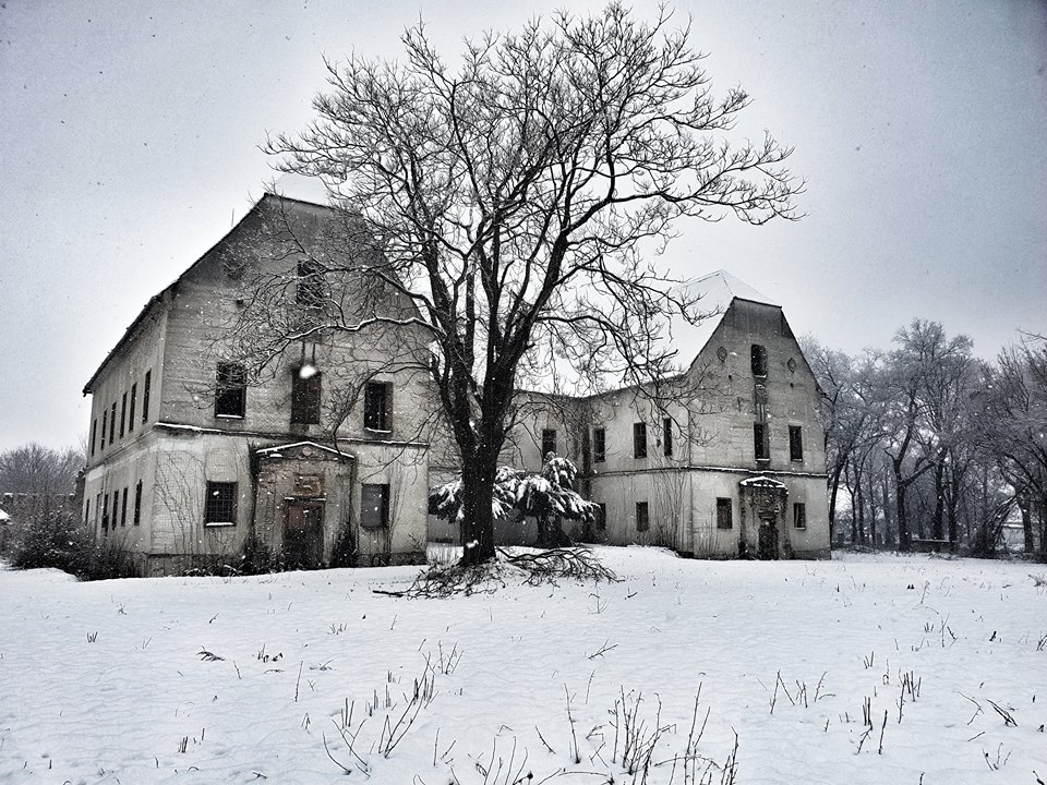 Cosmin Petre - blog cu subiecte diverse