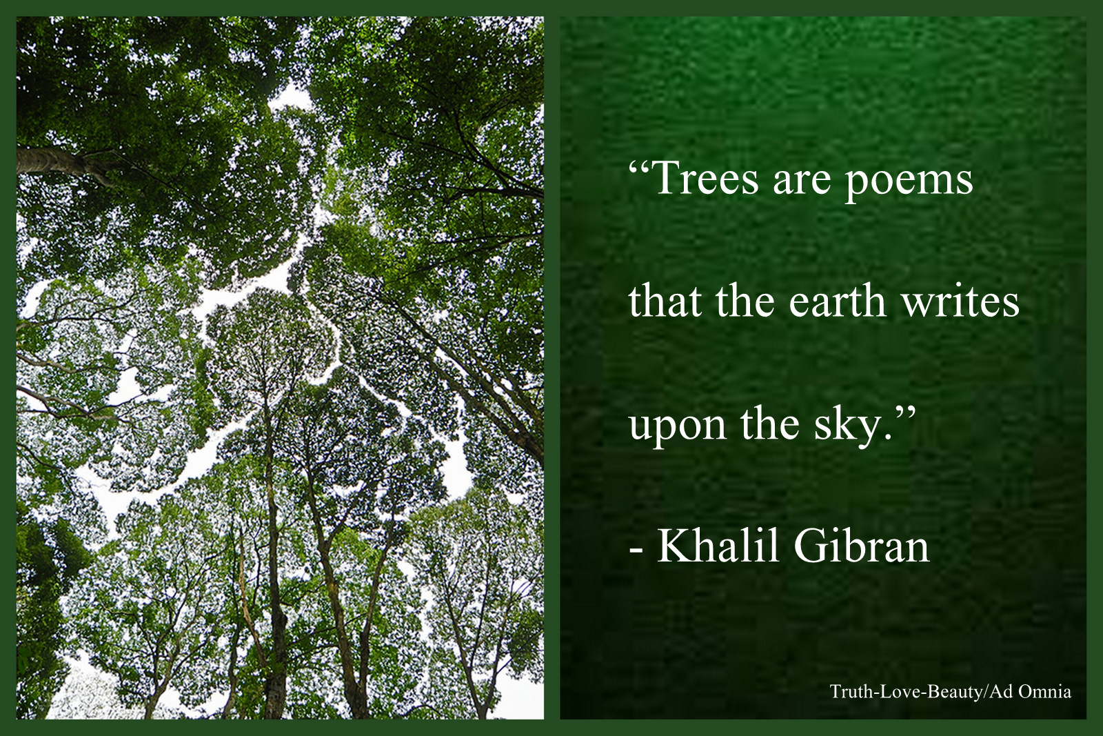 Ad Omnia: "Trees are poems..."