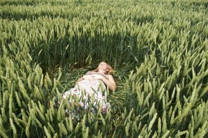 LES SECRETS DE PANDORA: AGROGLYPHES aussi connus comme CROP CIRCLES