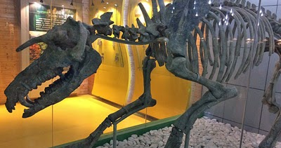 Synapsida: The Pig Family: Fossil Pigs