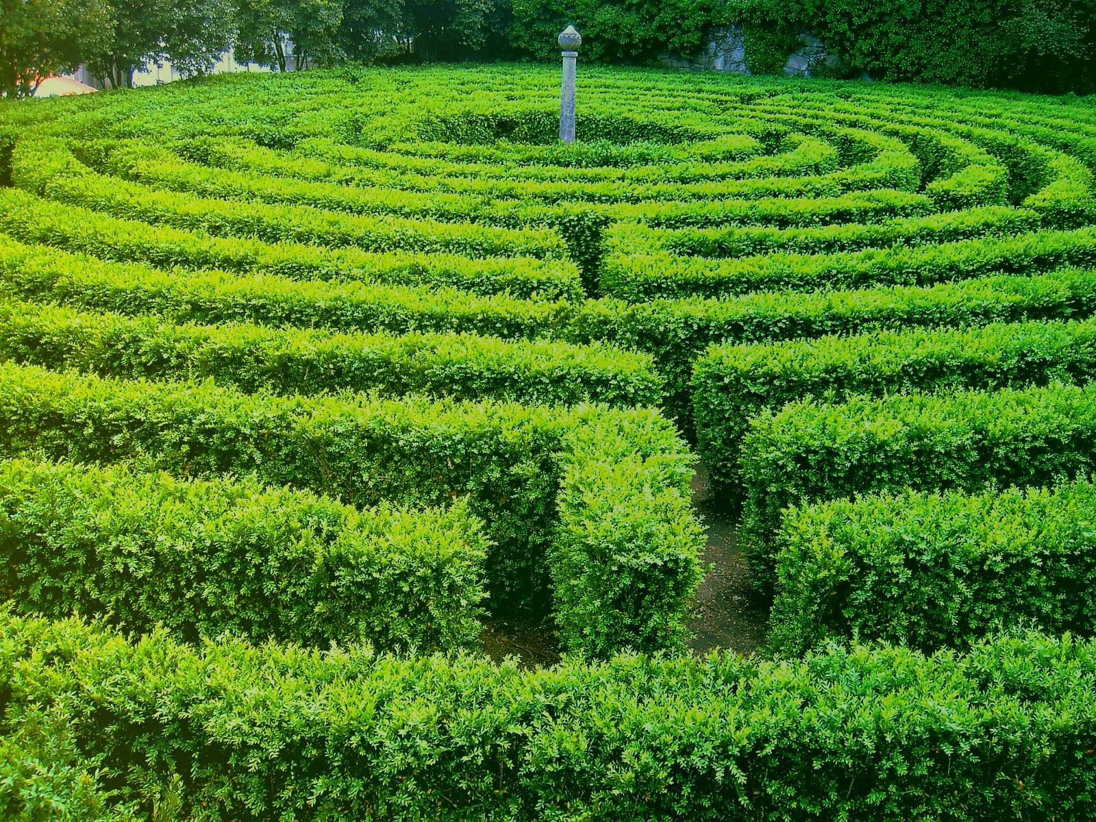 DESASSOSSEGOS: O Labirinto