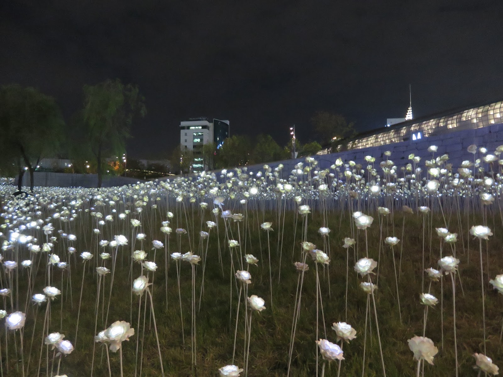 Day 3: LED Roses at DDP - Seoul, South Korea - chichicho~