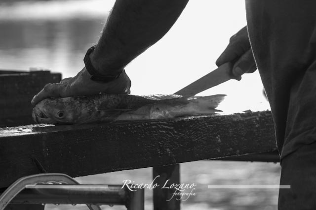 Ricardo Lozano Toro. Fotografía: Los albures de Coria y sus pescadores