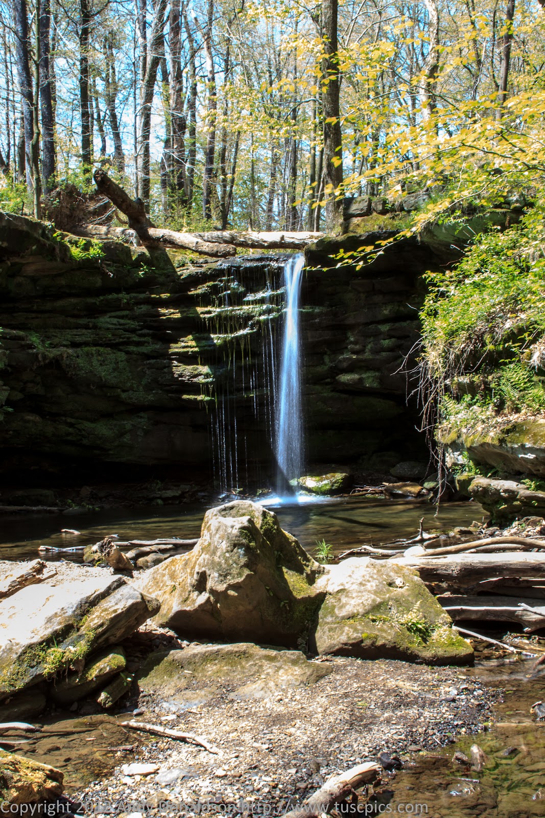 Welcome to the blog of Andy Donaldson Photography: Dundee Falls