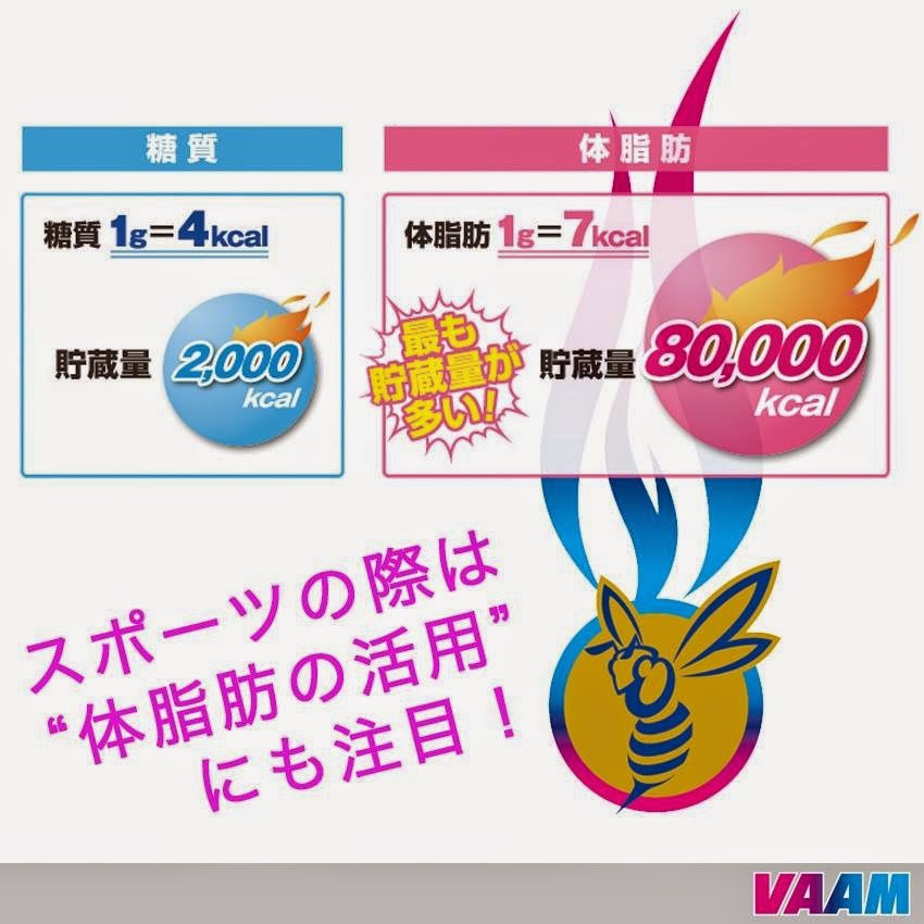 Food Science Japan: Meiji VAAM and Energy Burning