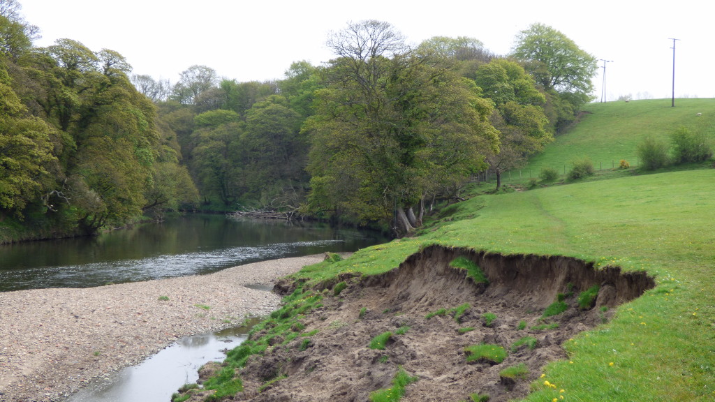 Walks for landscape painting subjects: Walk to Kepier Woods