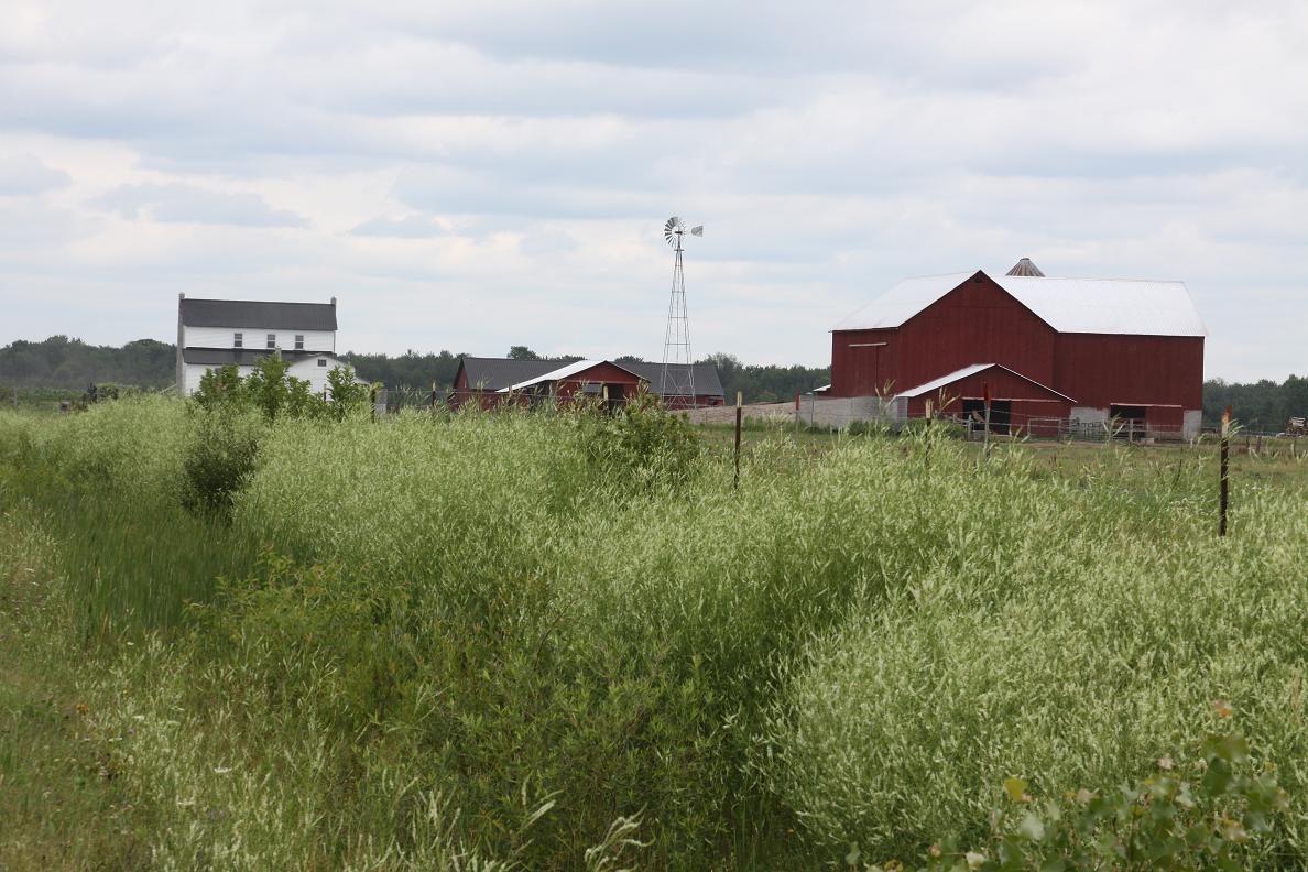 Michigan Exposures: Wandering Around Amish Country