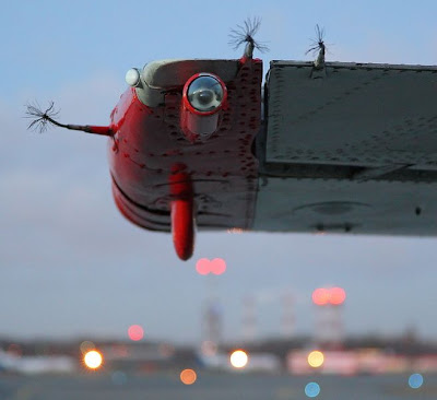Funny Freast: Tendrils of lightning rods on airplanes