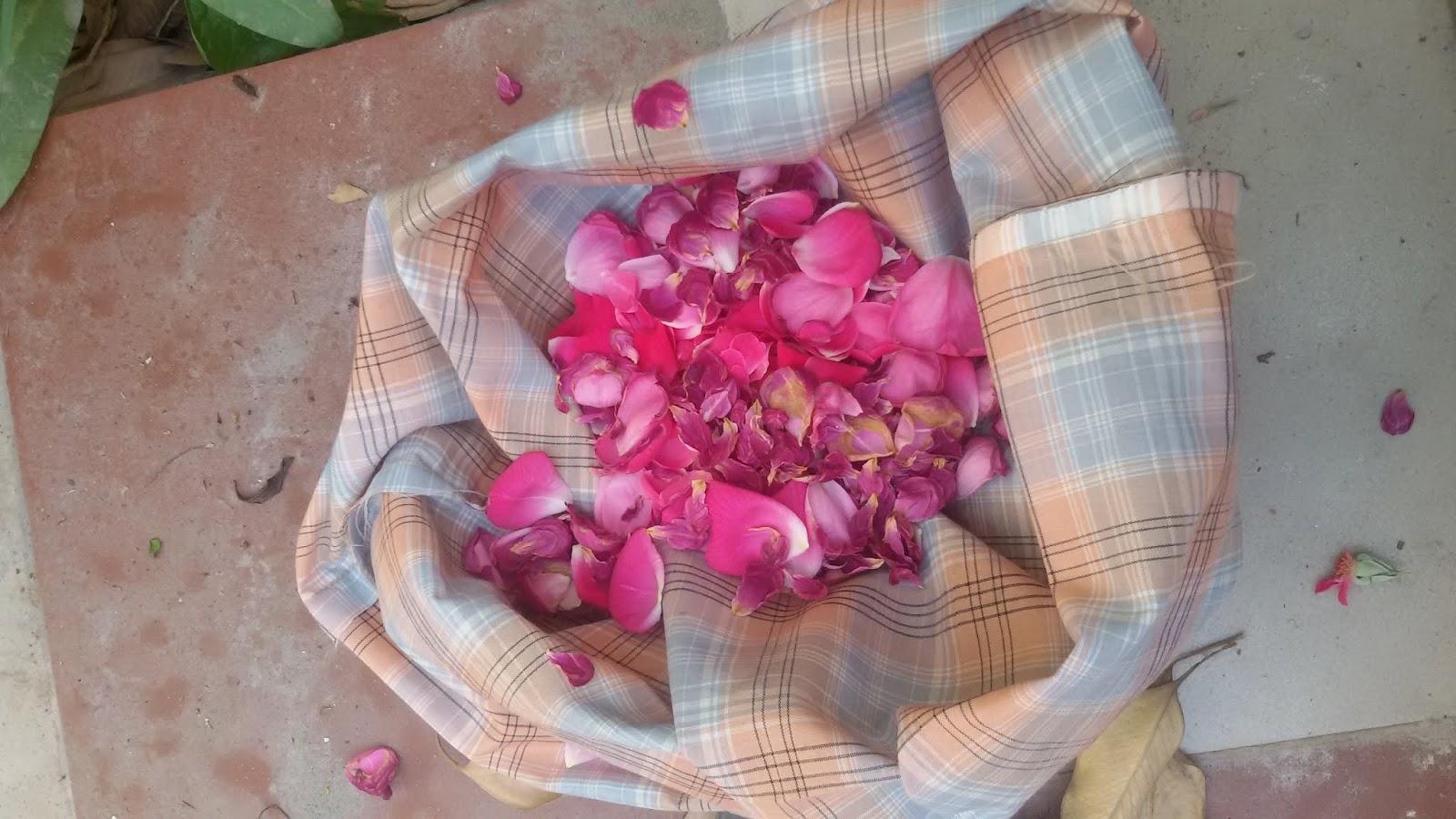 How to Make Gulab ka Sharbat | Swami Dayanand Naturopathy Hospital