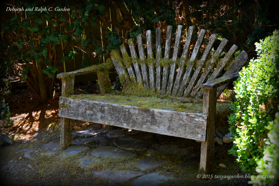 MySecretGarden: Deborah and Ralph's Garden on Bainbridge Island