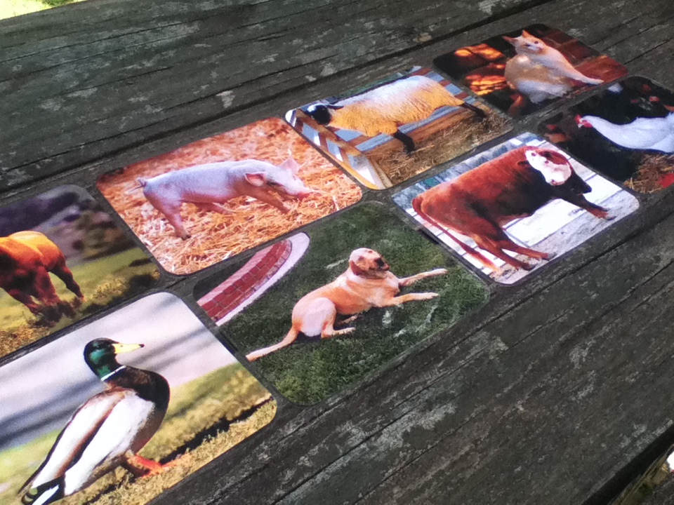 The Creative Vault: Speech Therapy: Barn Yard Animals