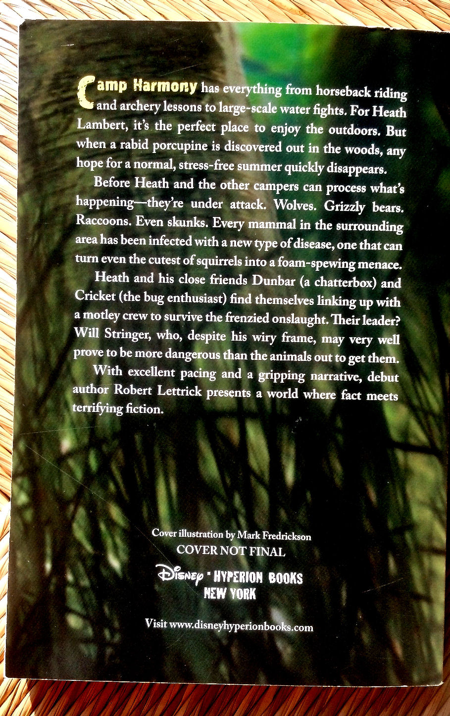 Robert Lettrick's Blog